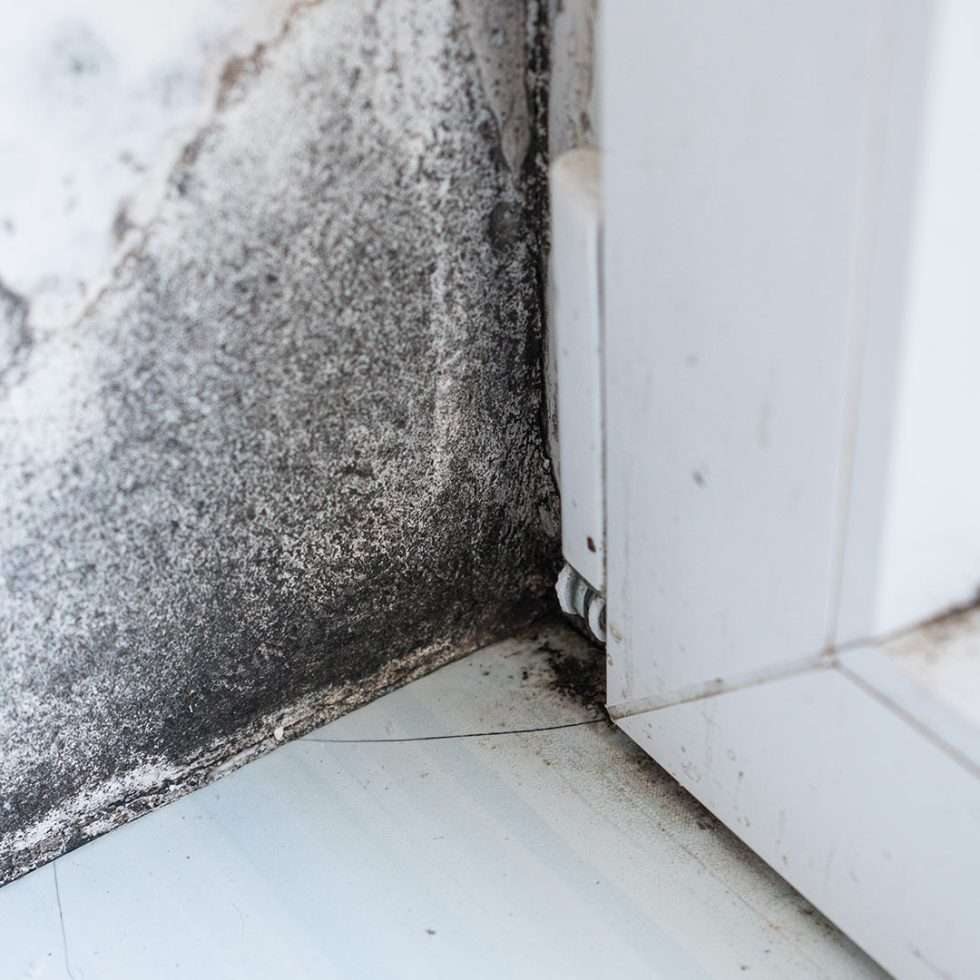 Condensation Risk Analysis | UK Building Analysis